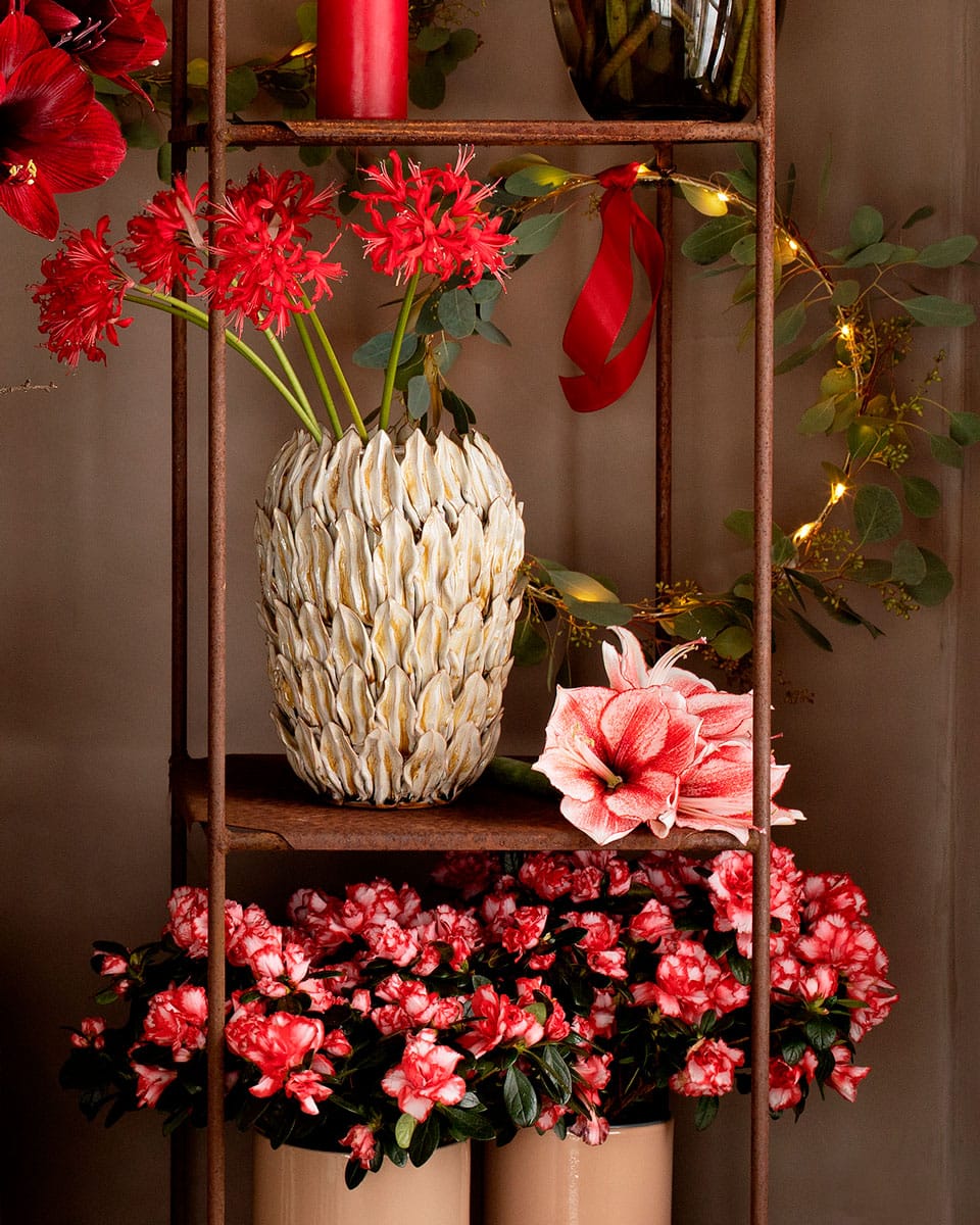 Julens trender 2024 | Interflora