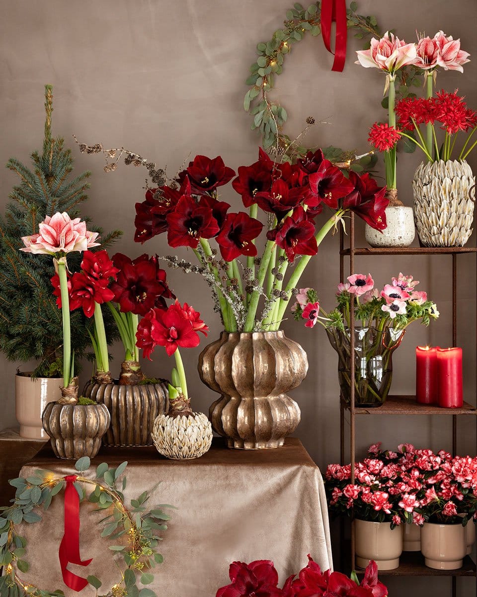 Julens trender 2024 | Interflora
